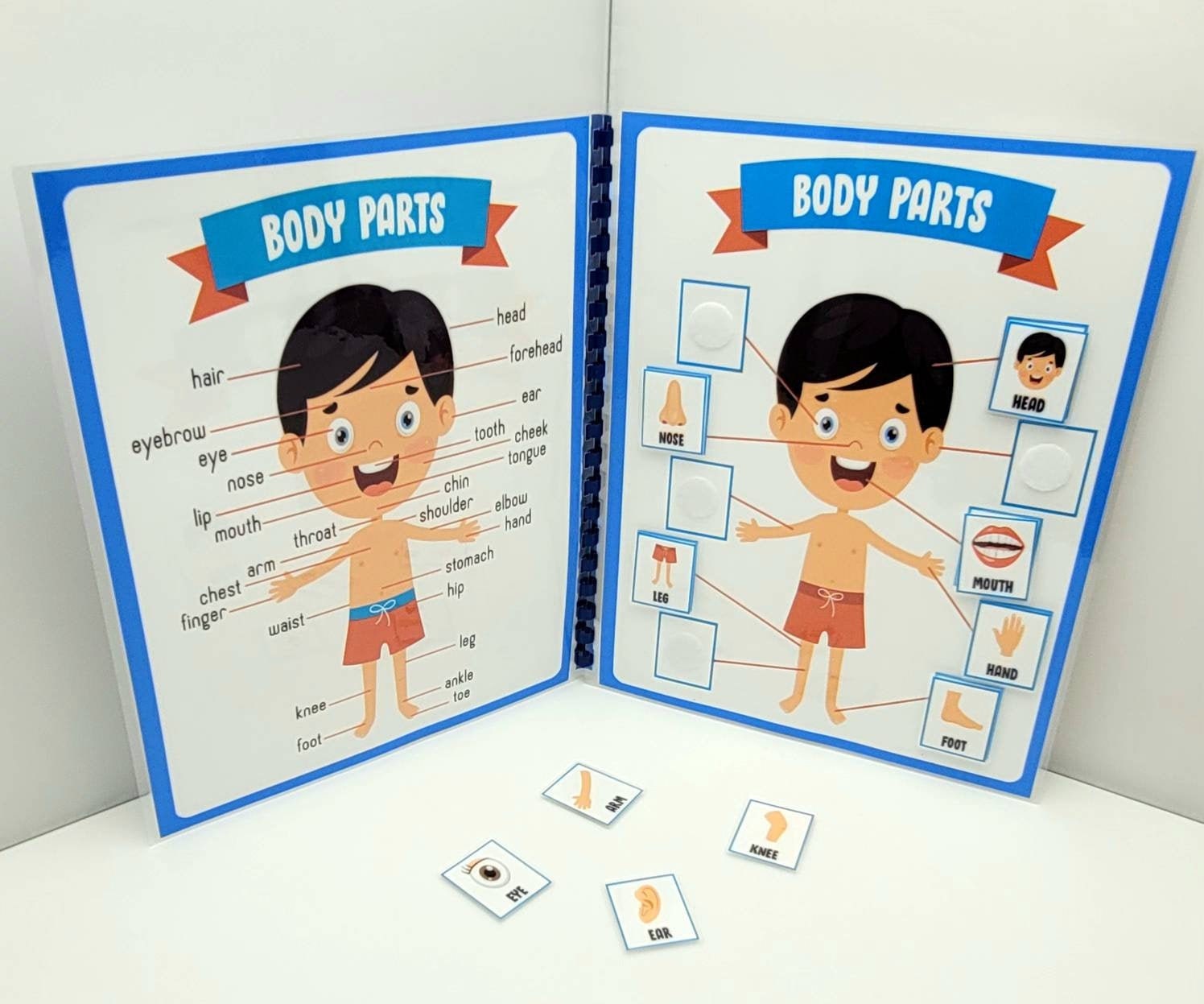 Preschool Anatomy Game Matching Card Game - Etsy UK