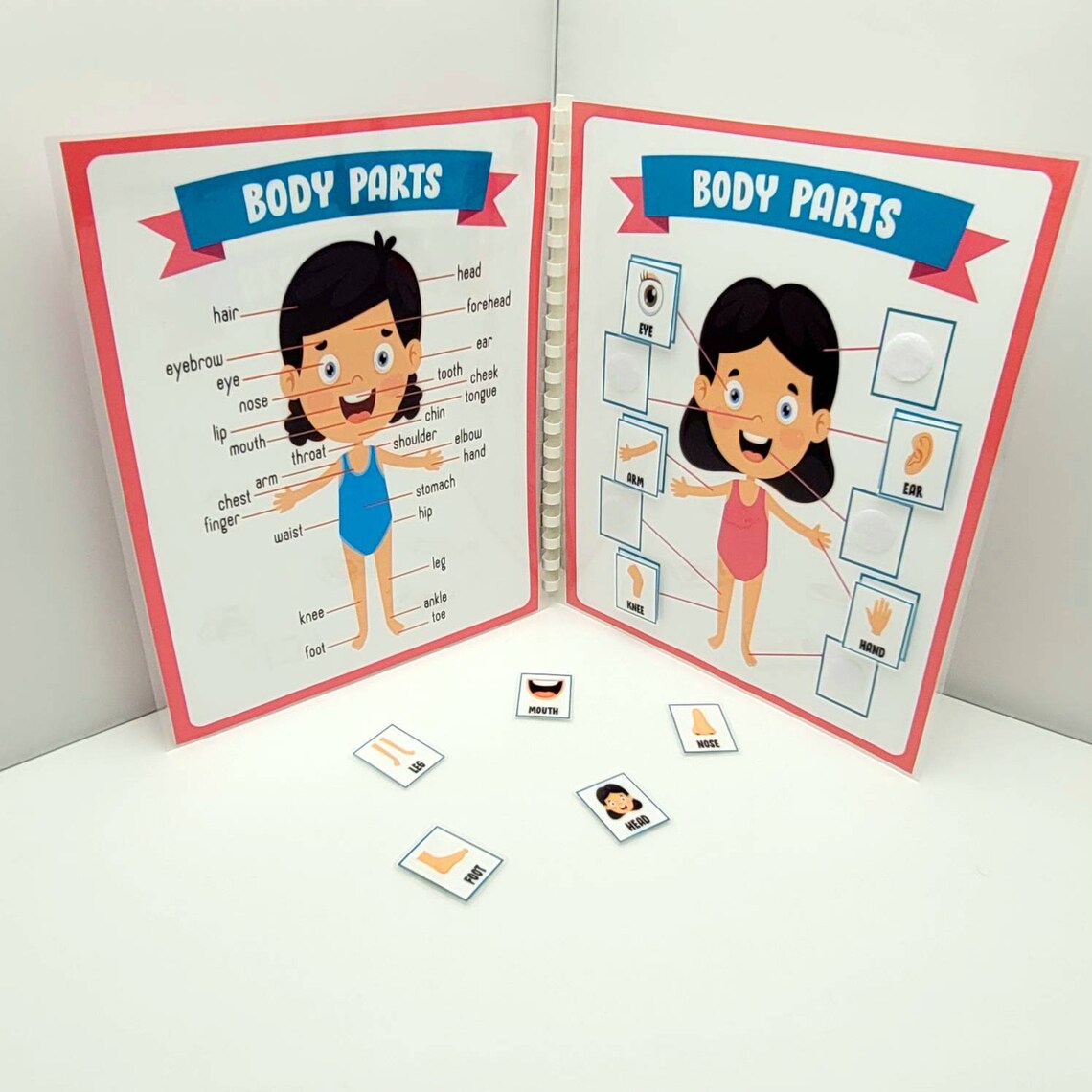 Matching Card Game Toddler Anatomy Game - Etsy