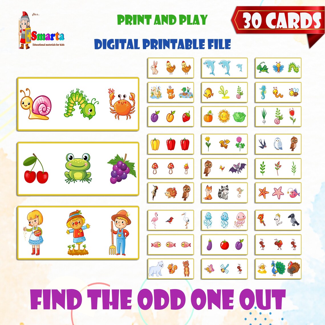 Preschool Curriculum Educational Cards Find the Odd Game - Etsy