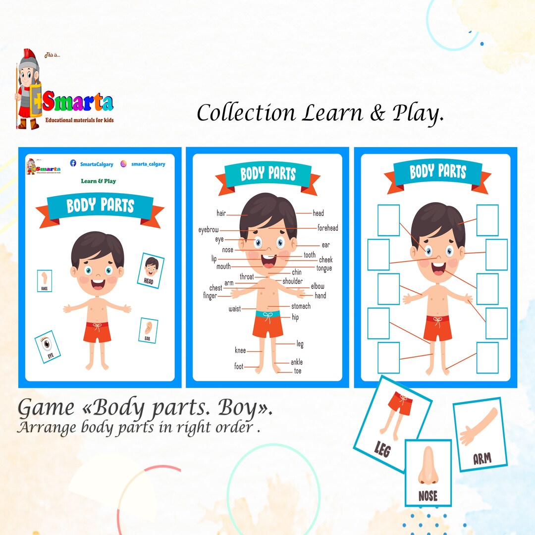 Preschool Anatomy Game, Matching Card Game - Etsy