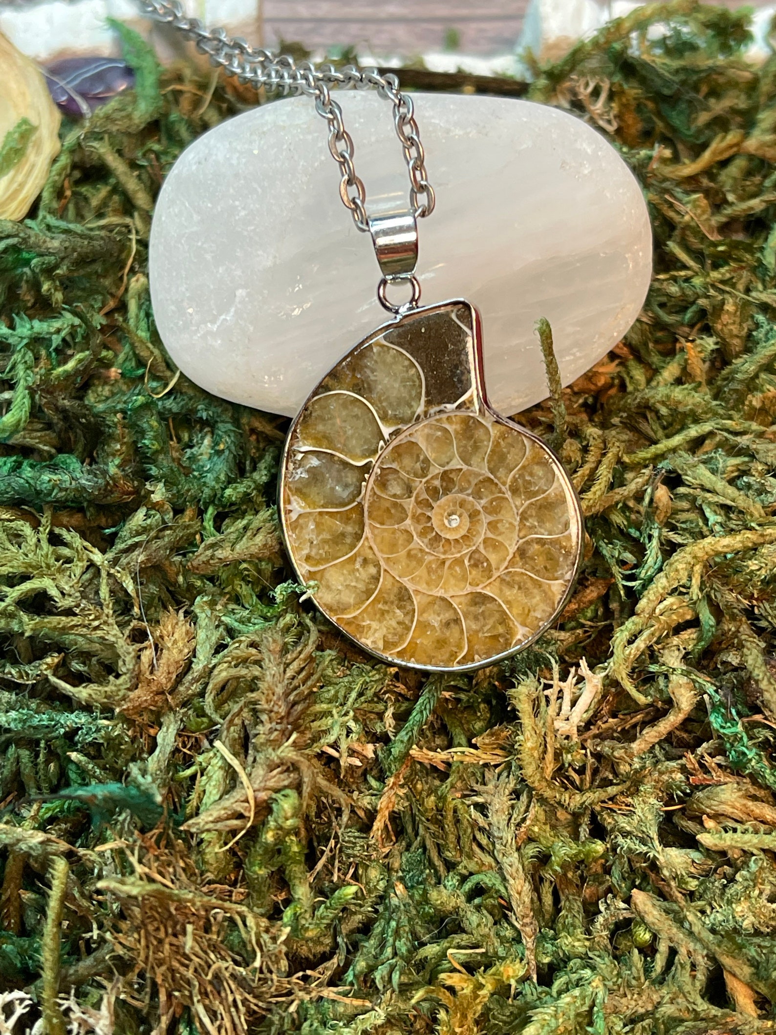Ammonite Shell Fossil Pendant Necklace GC-104 - Etsy UK