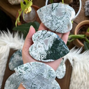 Listing 2 YOU CHOOSE Moss Agate/tree Agate Monstera Leaf, Moss Agate ...