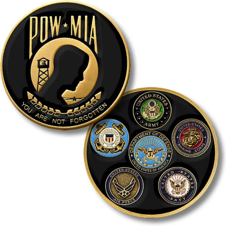 POW MIA Harley Twin Cam Timing Cover Coin Mount, Softail Dyna - Etsy