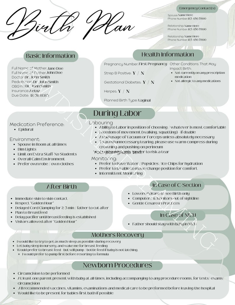 Editable Birth Plan and Hospital Checklist -digital Download - Etsy