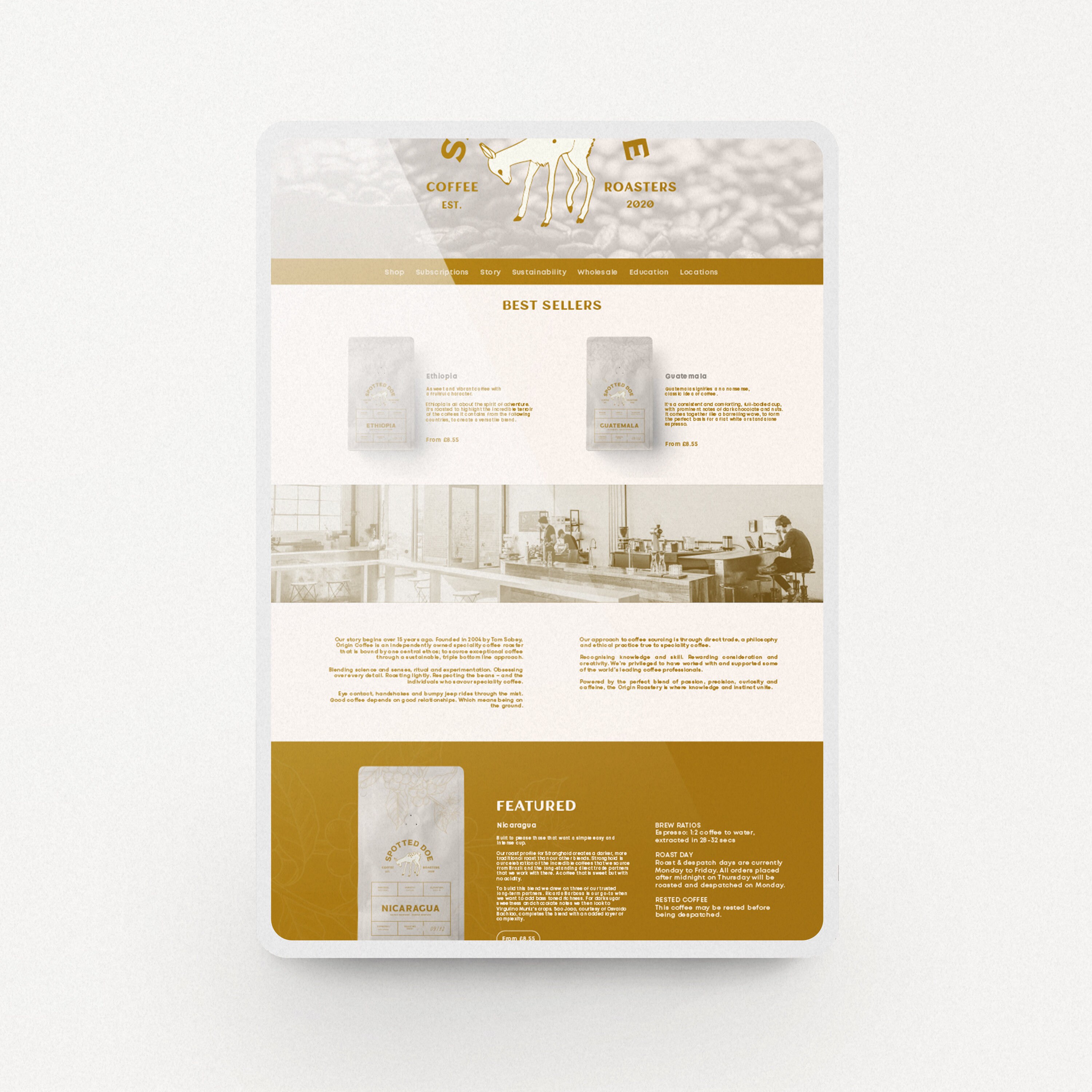 Full Branding Logo Program Kit Website Web Design - Etsy