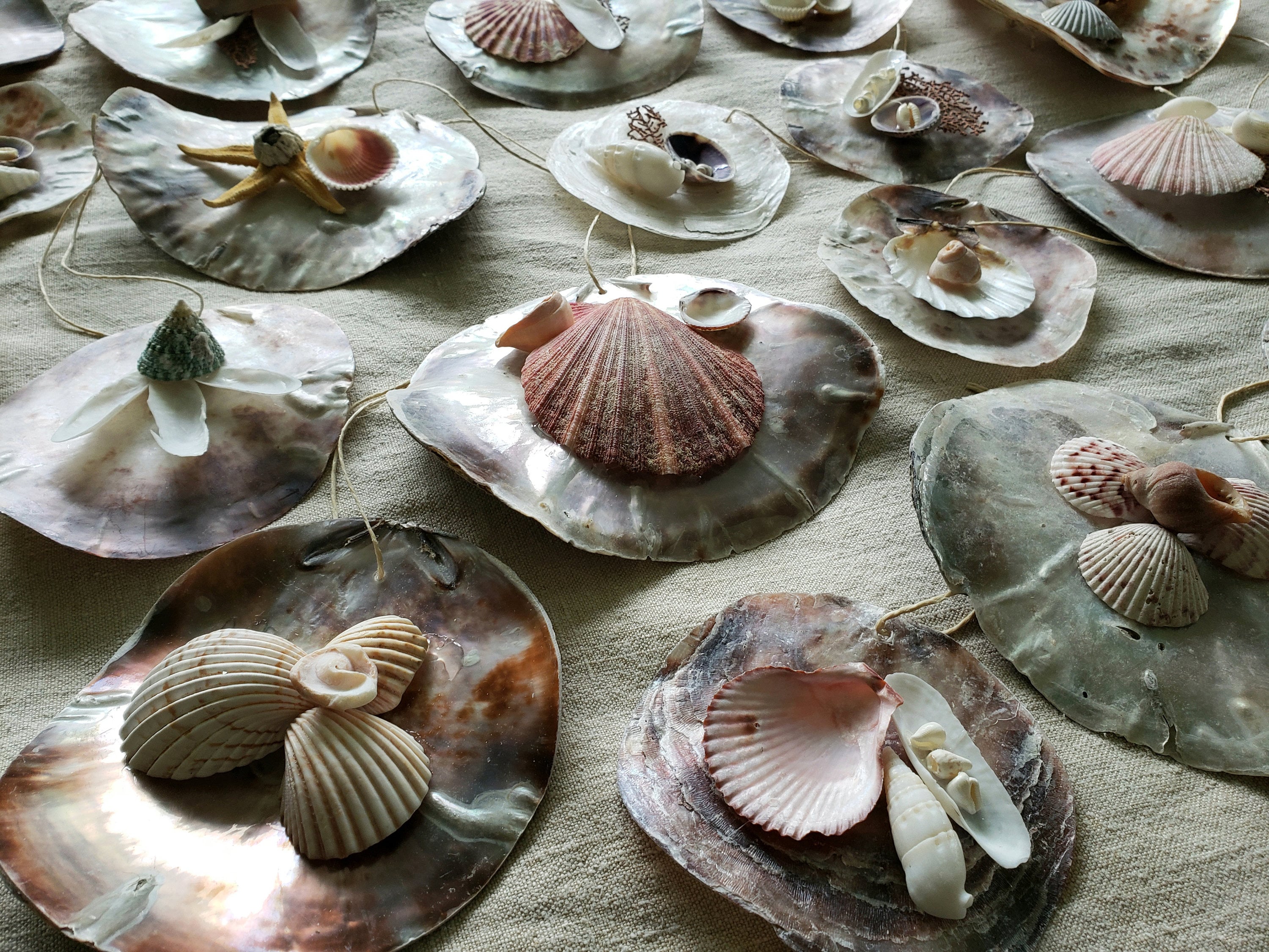 Shell Ornament Handmade Beautiful Natural Seashell Nautical - Etsy UK