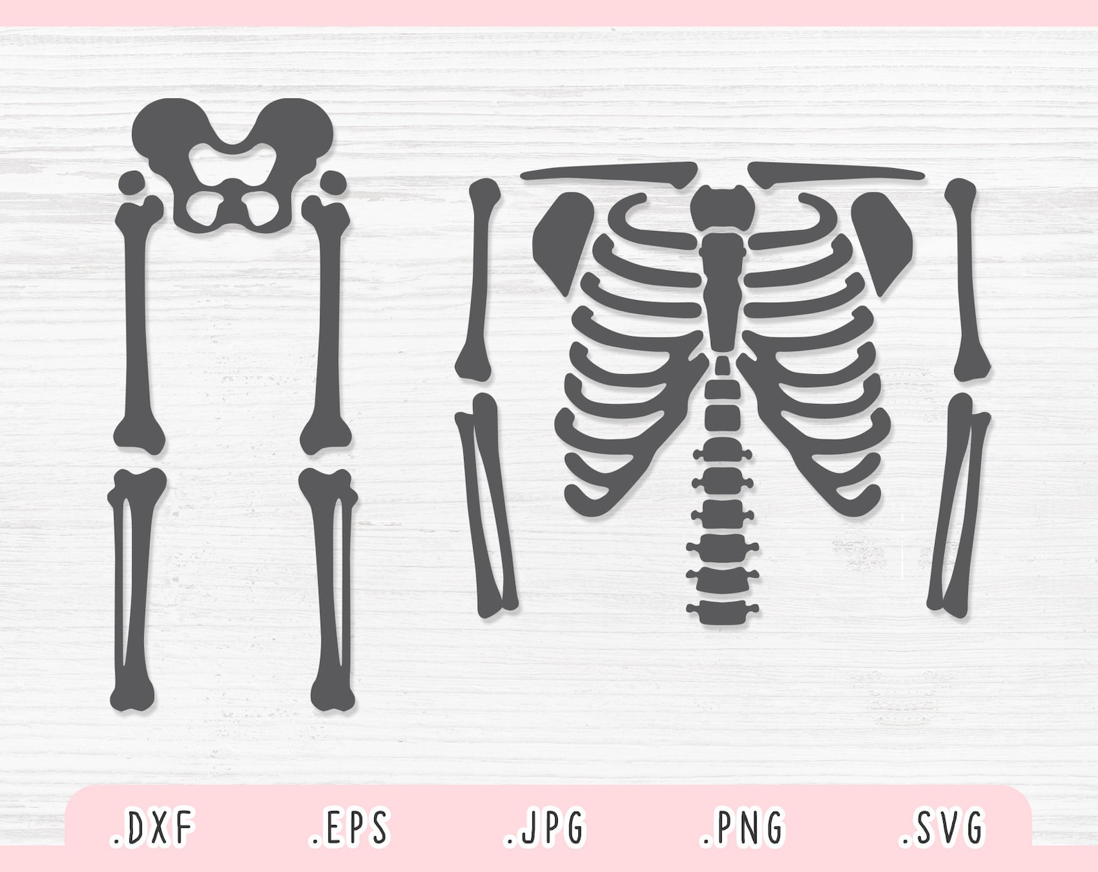 Skeleton SVG, DXF, Jpg, Png, Eps, Skeleton Cut Files, Skeleton Cricut ...