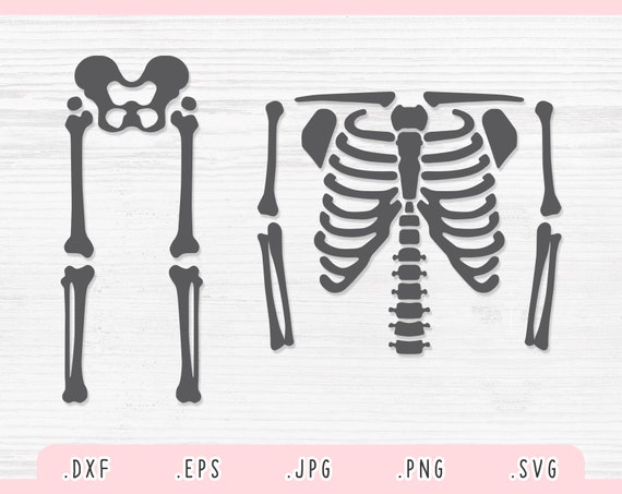 Skeleton SVG DXF Jpg Png Eps Skeleton Cut Files Skeleton | Etsy