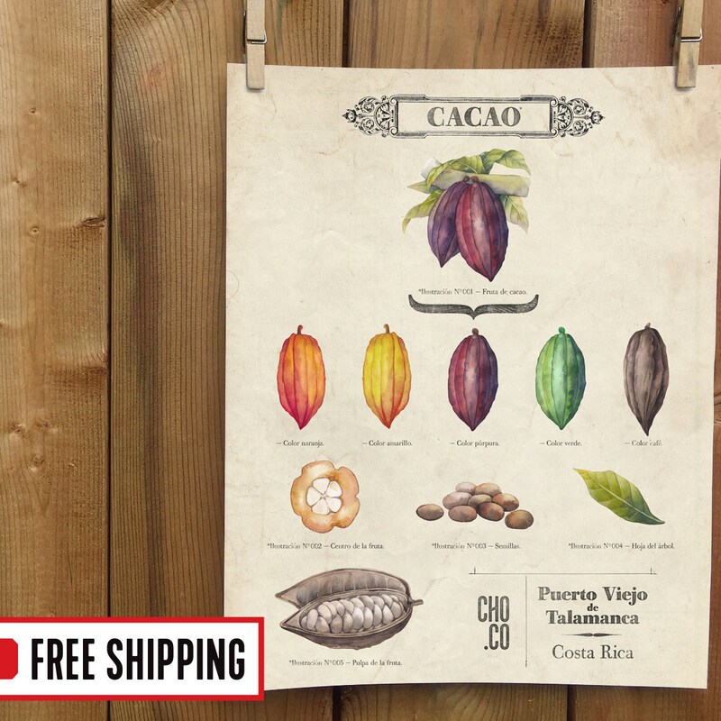 Chocolate Poster - Etsy