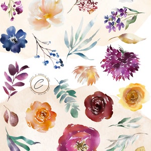 Boho Watercolor Floral Clipart Commercial Use, Rustic Flower ...