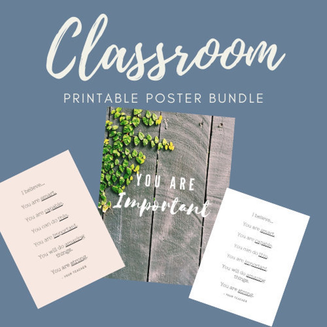 You Are Important Classroom Poster Bundle - Etsy