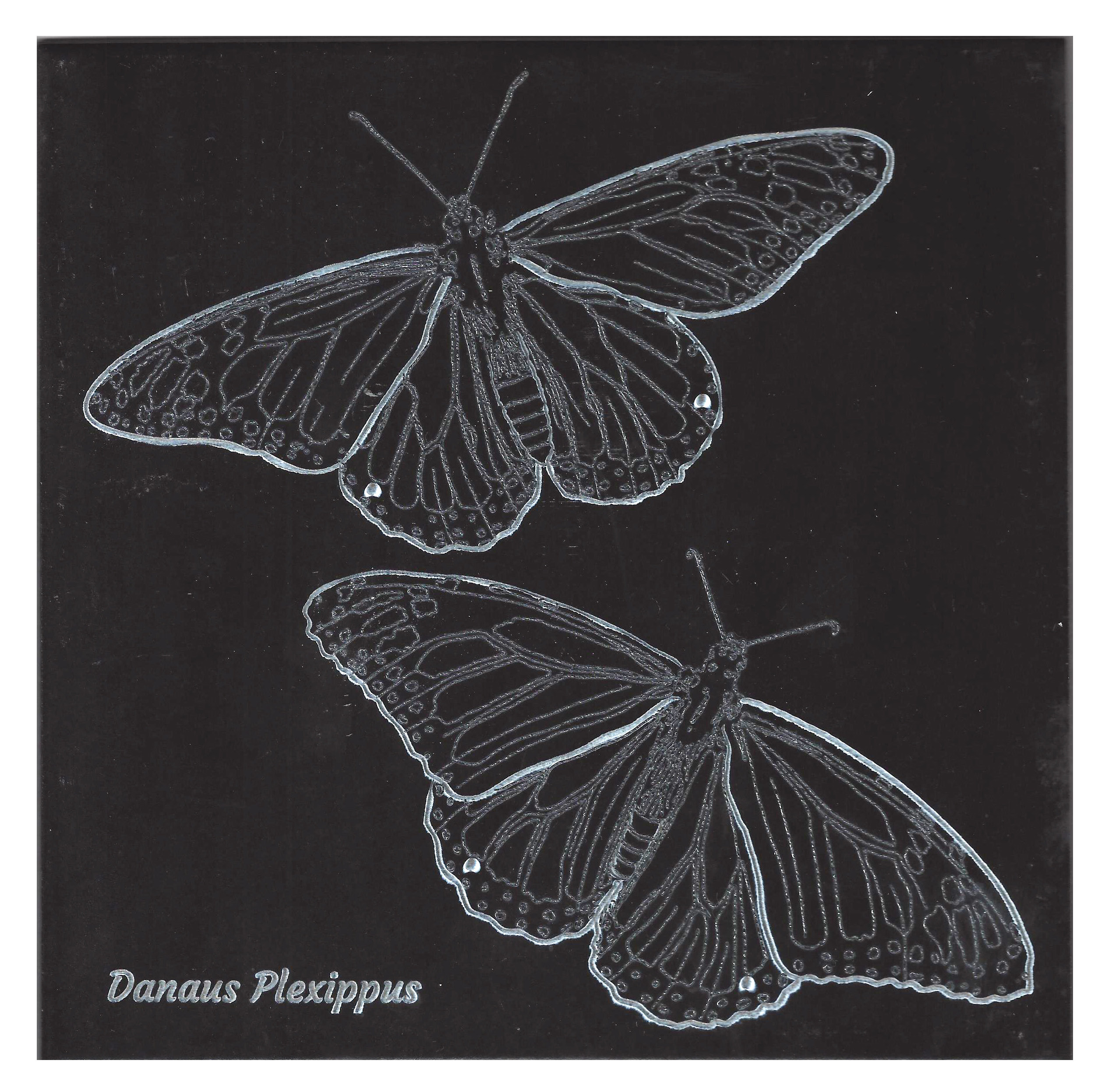 Monarch Butterfly Tile - Etsy