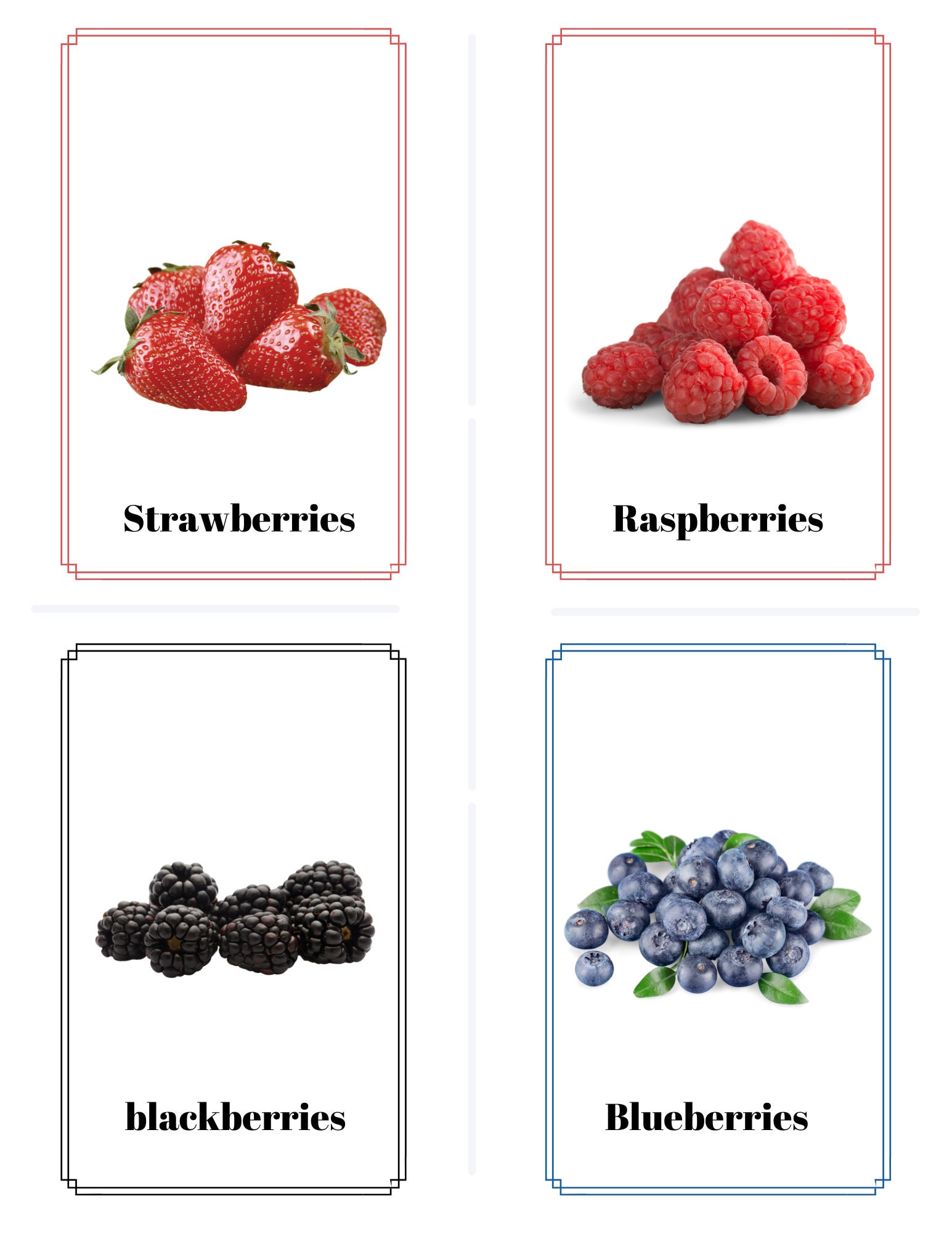 Download Only - Fruit (20 Real PRINTABLE Pictures) Montessori Language ...
