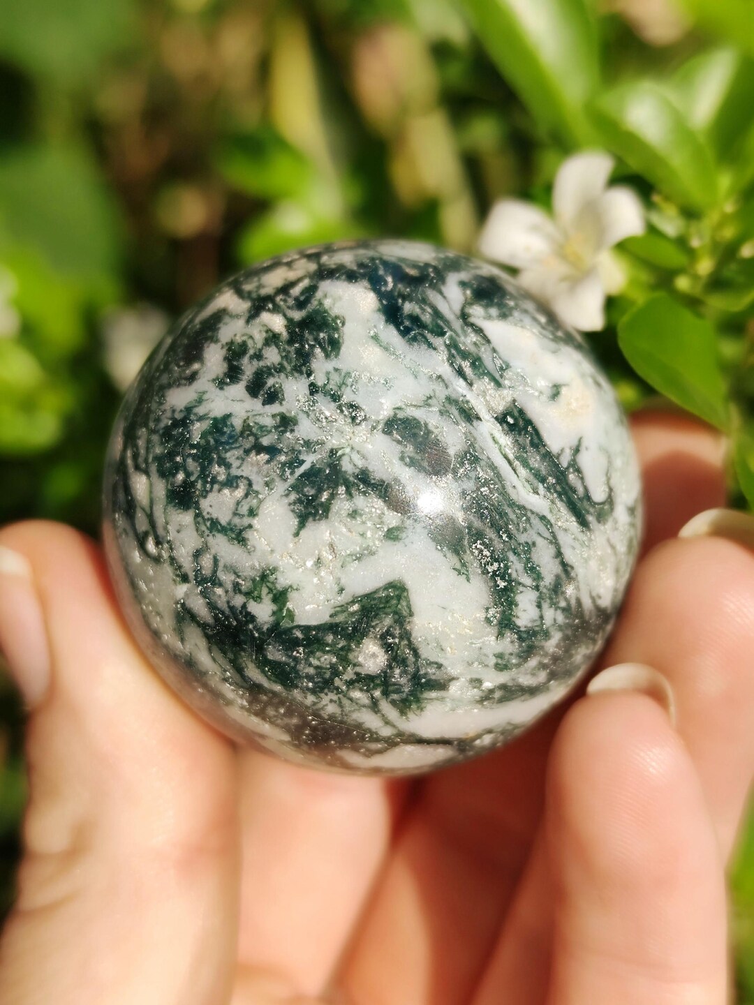 Tree Agate Sphere | Agate Polished Orb | Calmness & Peace Stone | Reiki ...