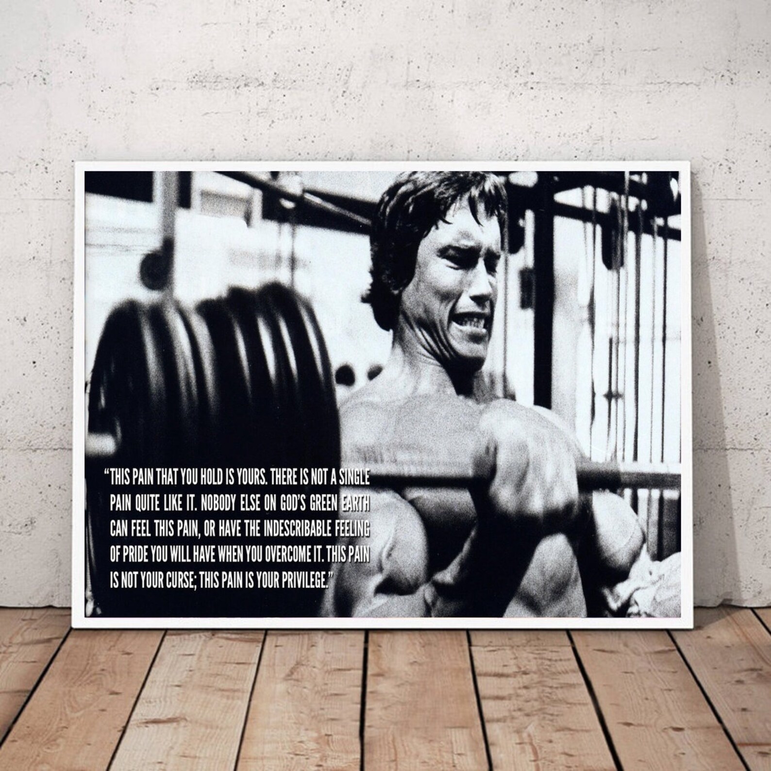 Arnold Schwarzenegger Bodybuilding Poster Canvas Wall Art Home Decor no ...