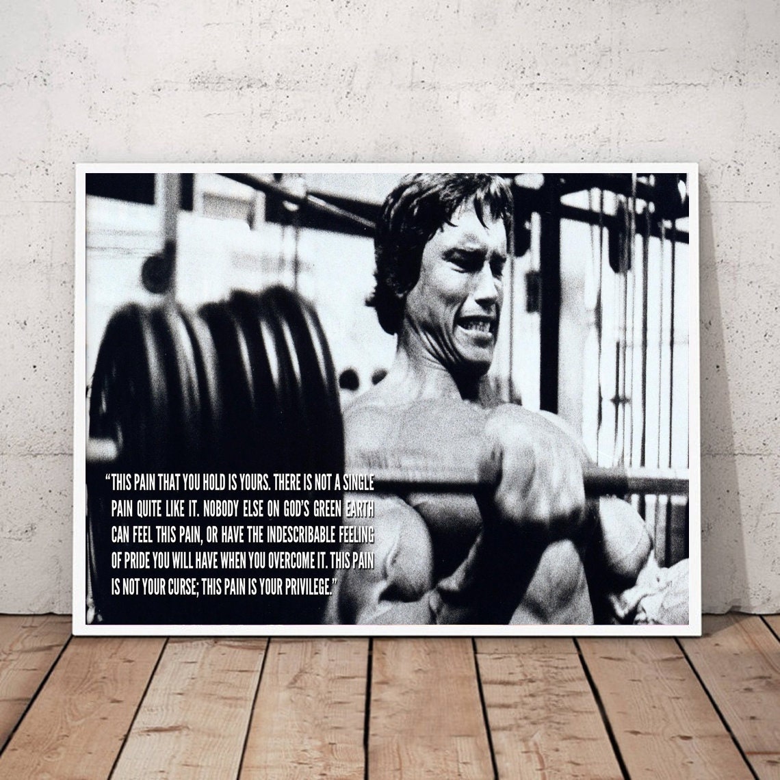 Arnold Schwarzenegger Bodybuilding Poster Canvas Wall Art Home Decor no ...