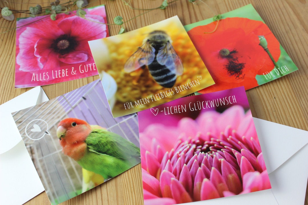 Set of 5 Postcards greetings Colorful Nature Photography - Etsy