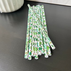 Cactus Straw for Starbucks Tumbler Desert Straw Succulent - Etsy
