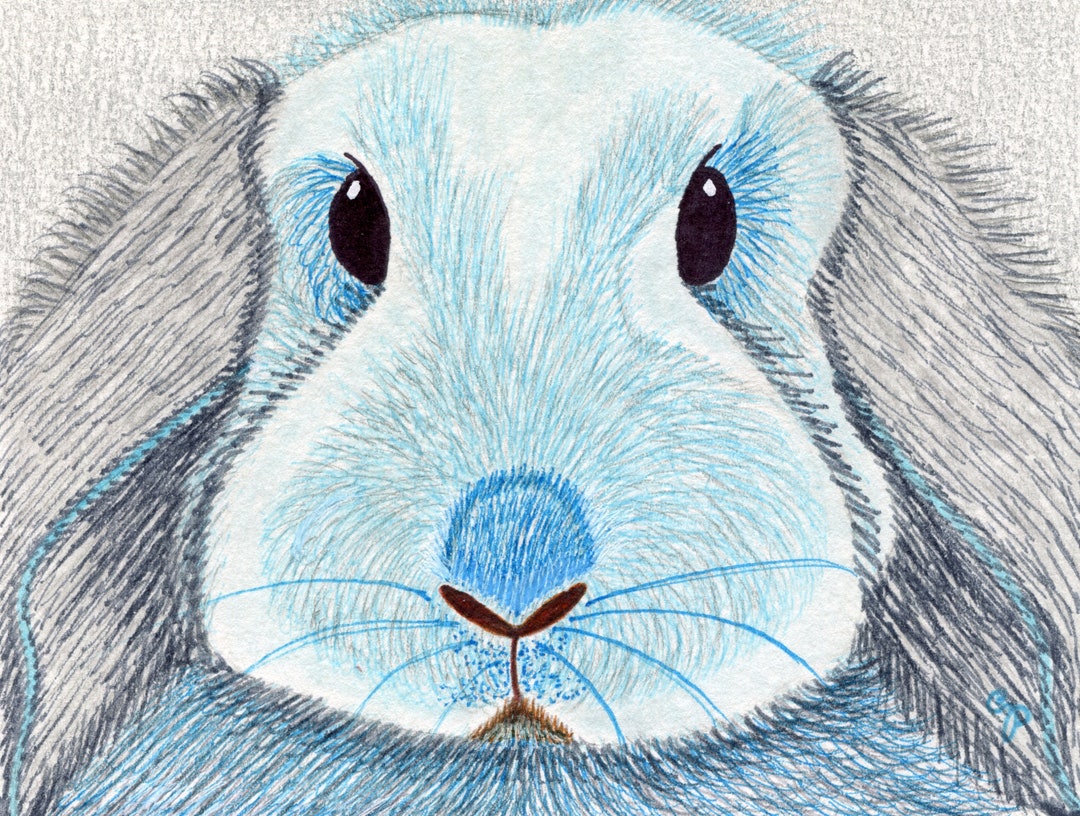 Mr. Soft Snuggles, Rabbit, Want to Be First, Whimseywow Preferred Art ...