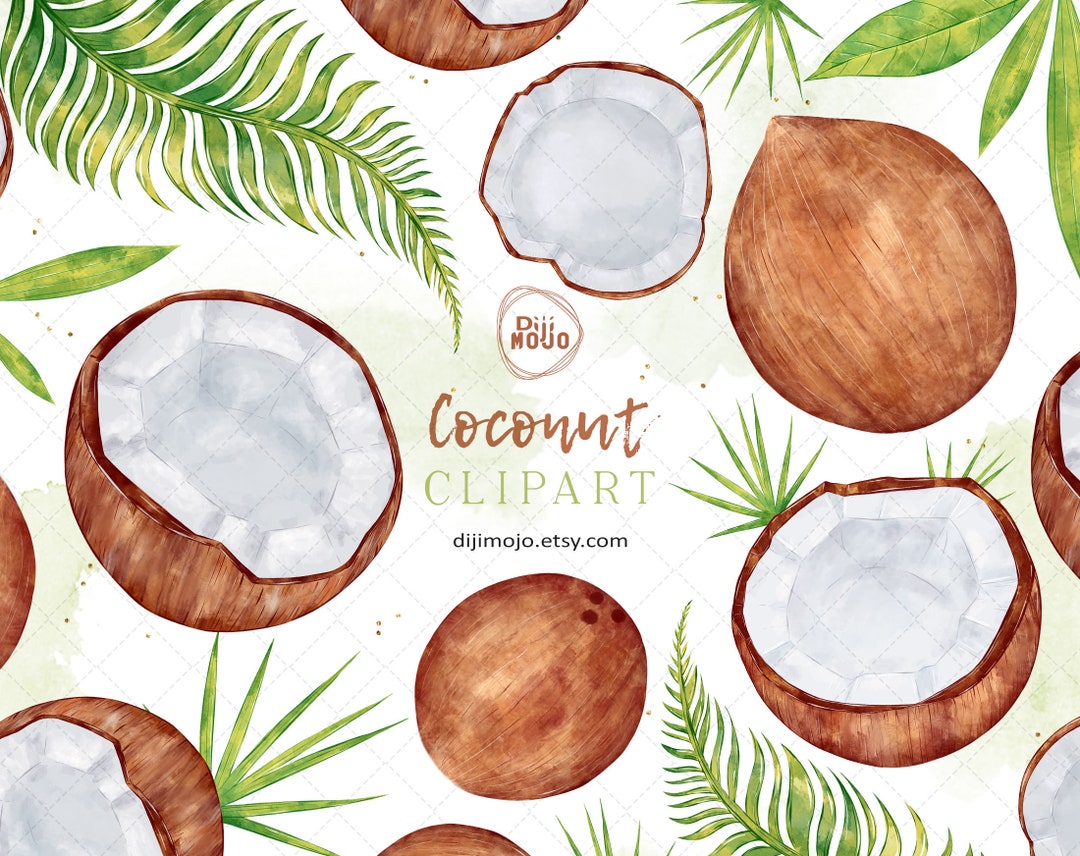 Watercolor Coconut Clipart | Hand Painted Fruit Art Download - Etsy