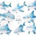 Cute Watercolor Shark Clipart, Ocean, Cute Sea Animals, Baby Boy ...