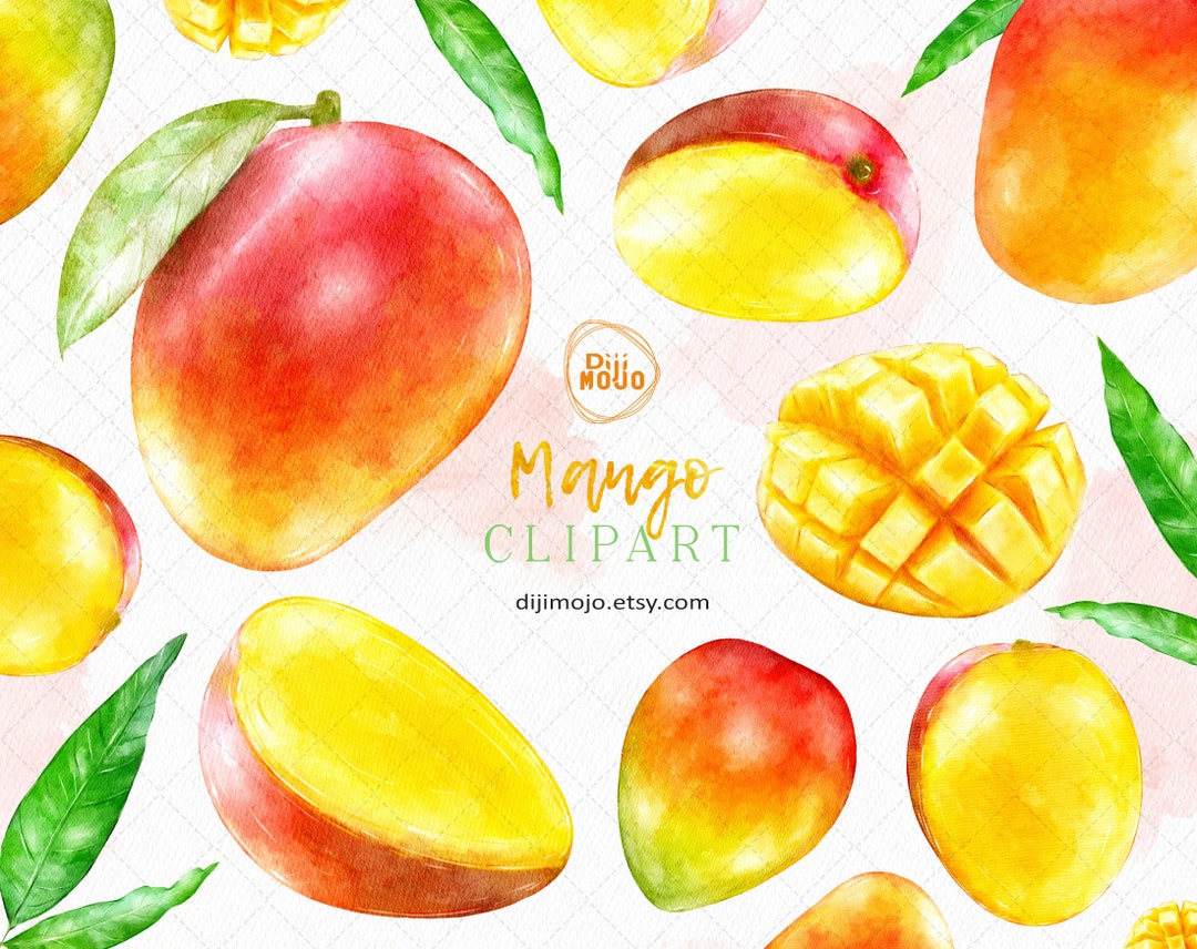 Watercolor Mango Clipart | Citrus Watercolor Hand Painted Fruit Art ...