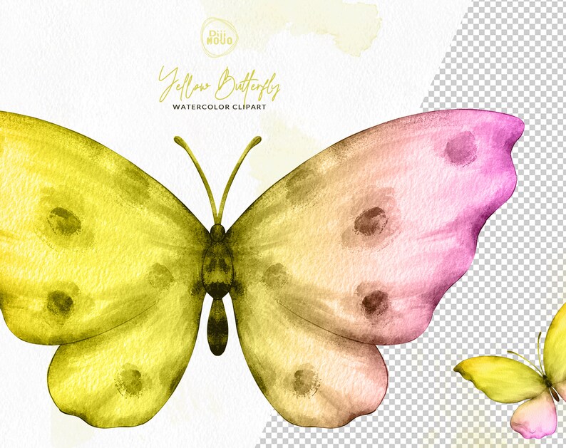Watercolor Butterfly Clip Art Hand Painted Butterfly - Etsy