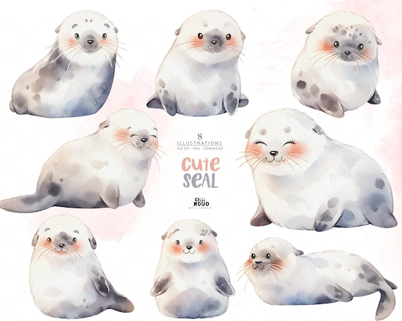 Arctic Seal Clipart