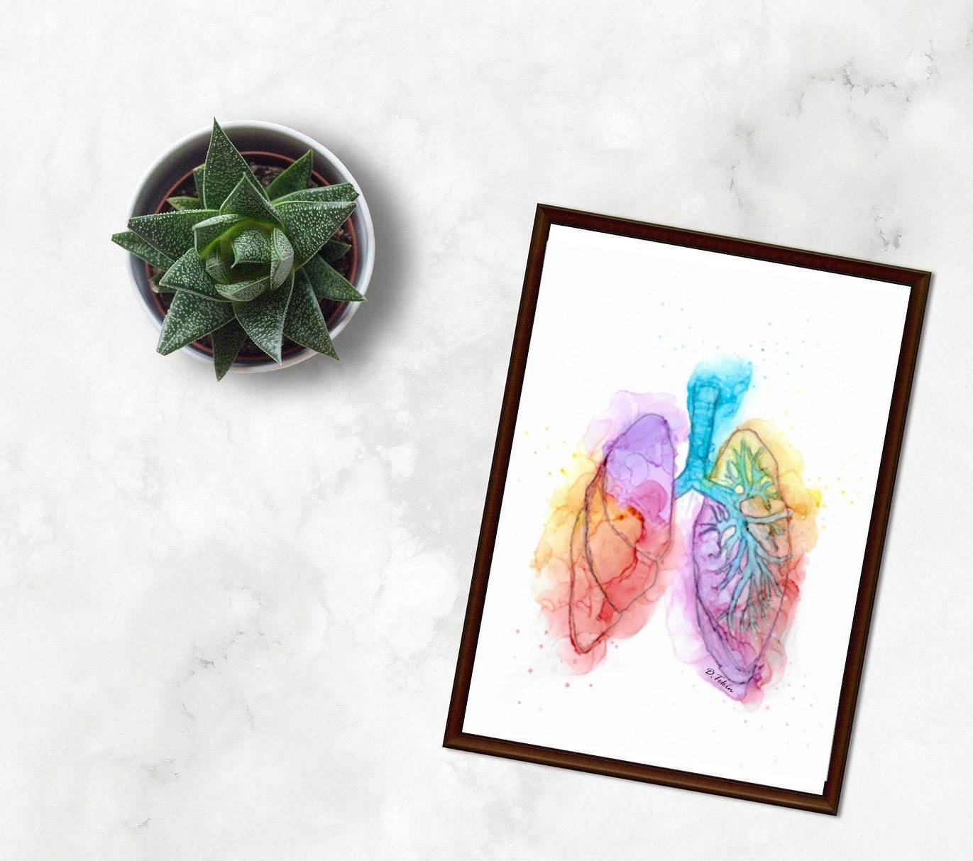 Anatomical Lungs Medical Artprints Anatomy Art Medical Art Anatomy ...