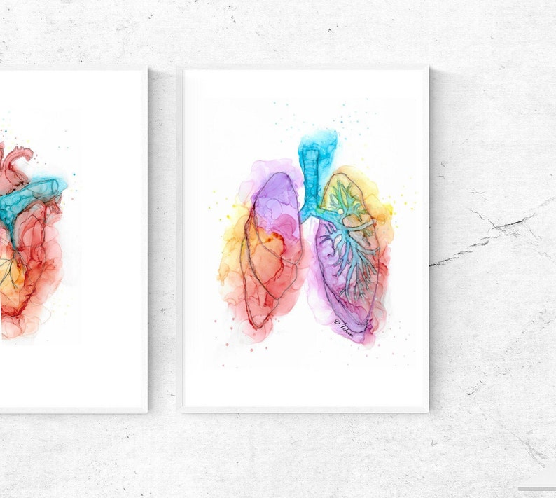 Digital Anatomy Paintings - Medical Art - Set of 3 Anatomy Posters ...