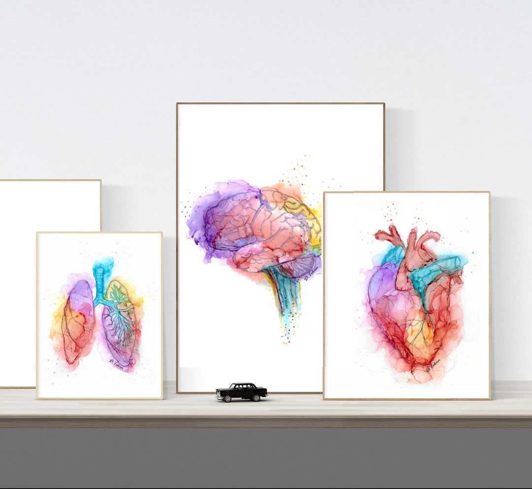 Digital Anatomy Paintings - Medical Art - Set of 3 Anatomy Posters ...