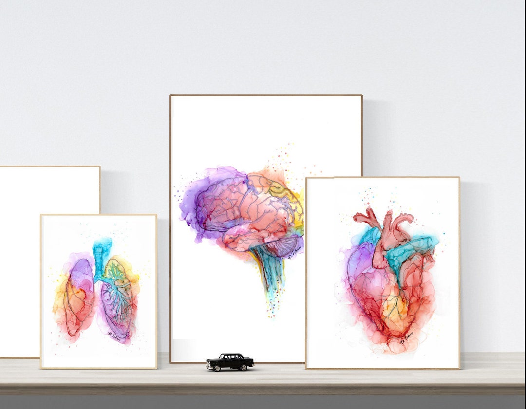 Anatomy Paintings Medical Art Set of 3 Anatomy Posters - Etsy