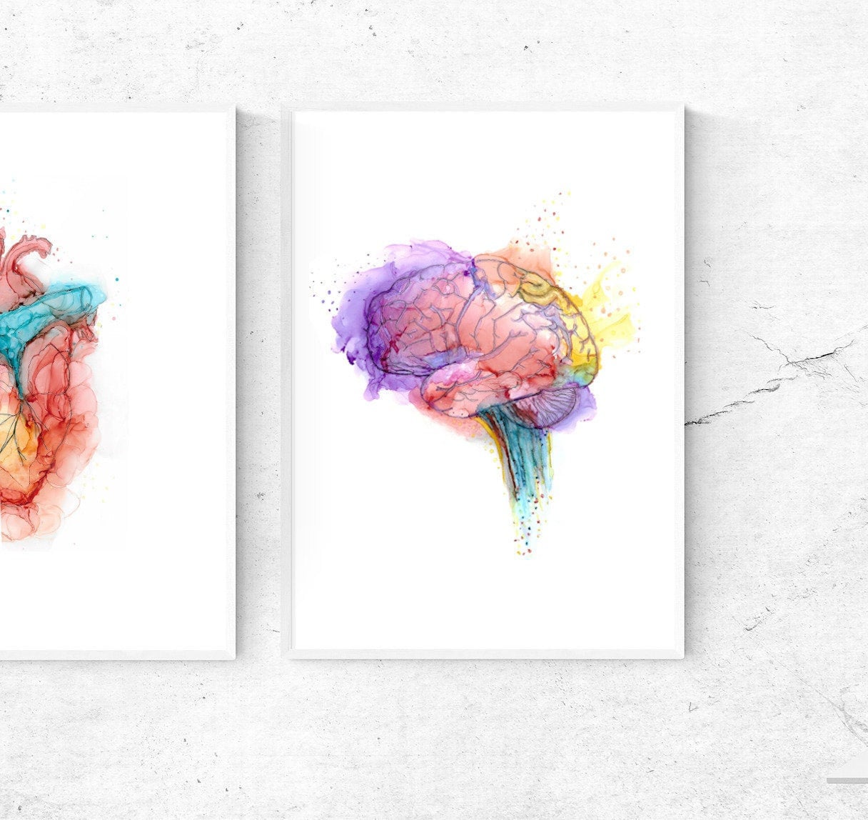 Digital Anatomy Paintings - Medical Art - Set of 3 Anatomy Posters ...
