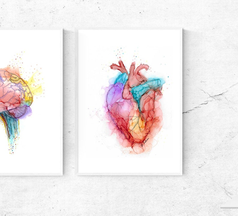 Digital Anatomy Paintings - Medical Art - Set of 3 Anatomy Posters ...