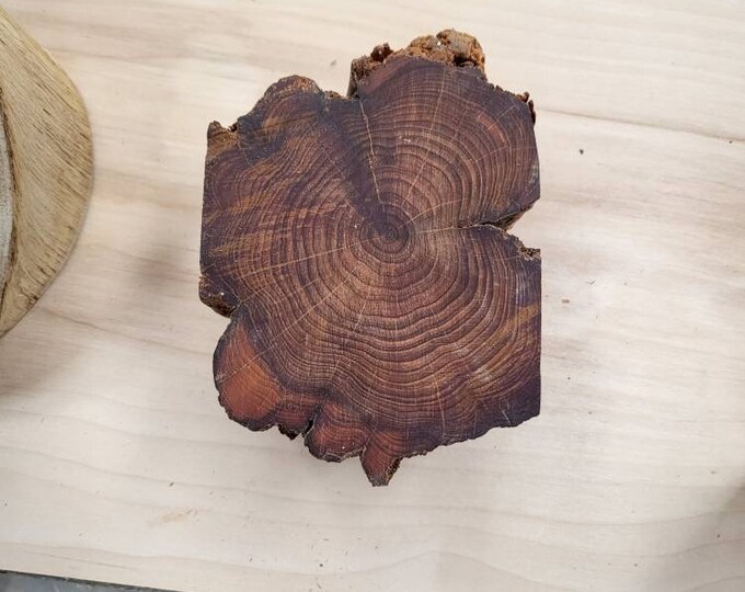 CEDAR WOOD ROUND for Diy Projects - Etsy