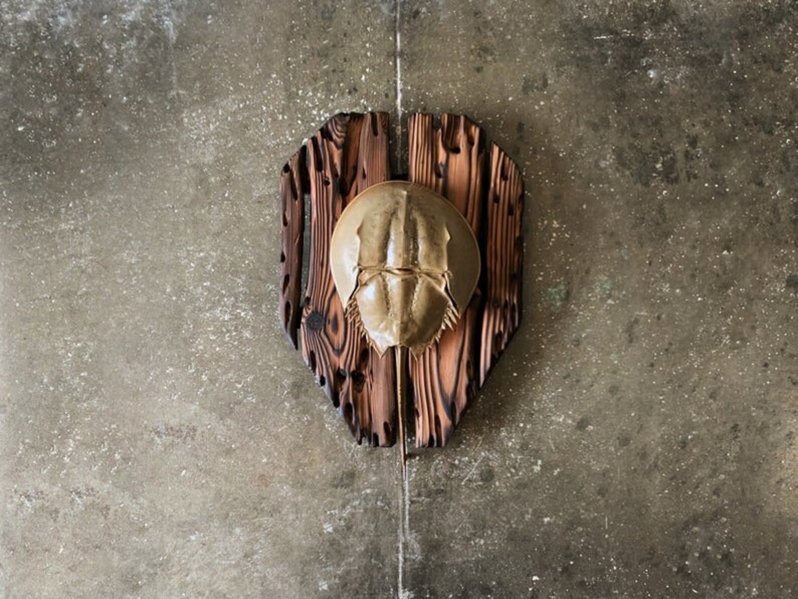 Handmade Cedar Wood Mounting Shield Rustic Modern Shipworm | Etsy