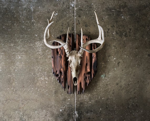 Handmade Cedar Wood Mounting Shield Rustic Modern Shipworm - Etsy