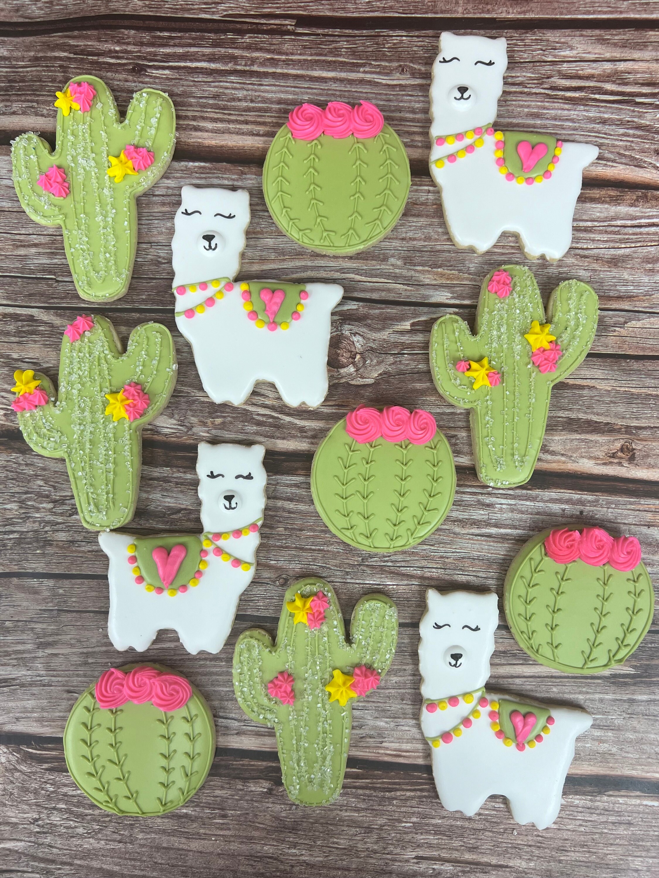 Cactus Boho Inspired Custom Decorated Sugar Cookies - Etsy