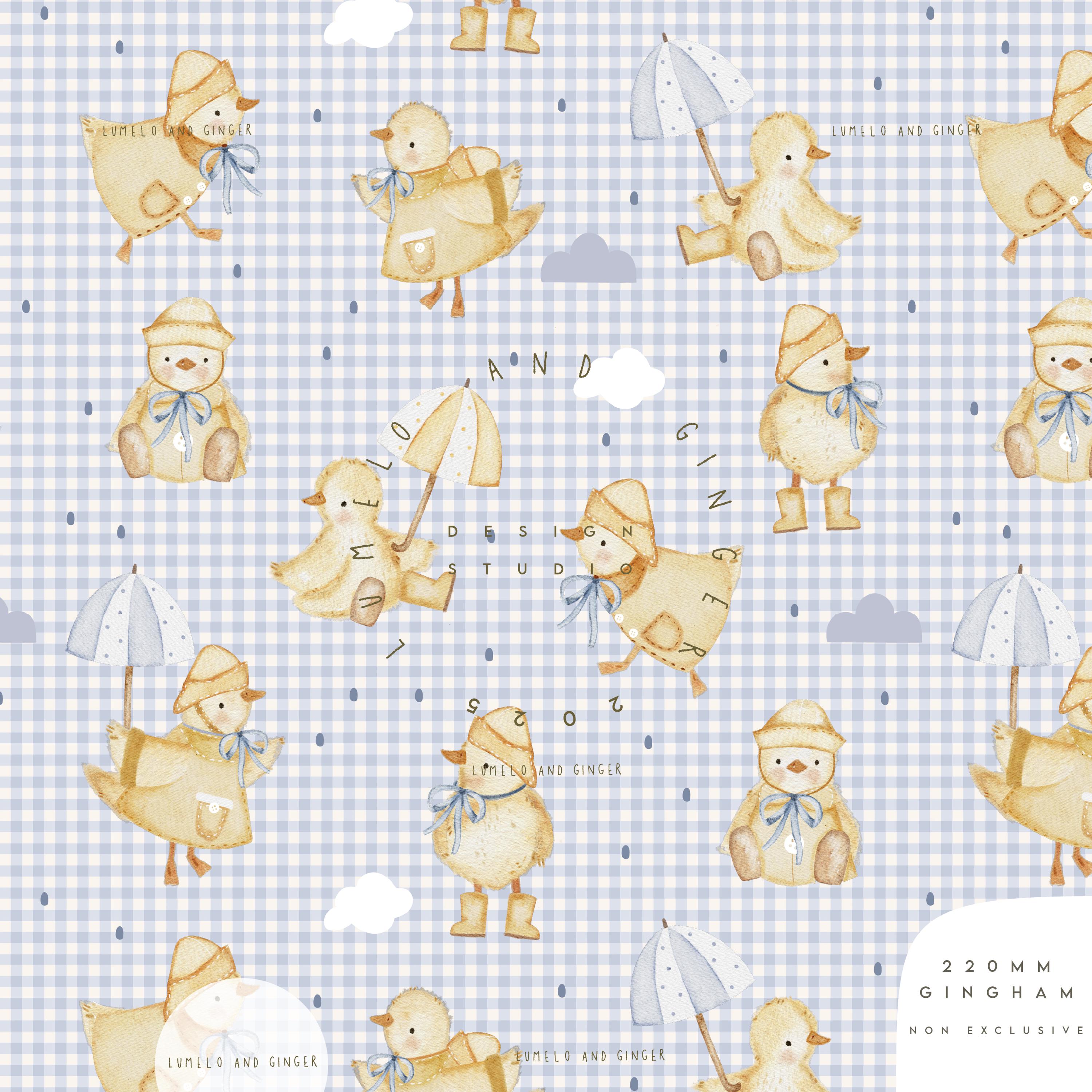 Pluie, Rain Duck, FREE PNG and Co-ord, Chick, Raincoat, Wellington ...