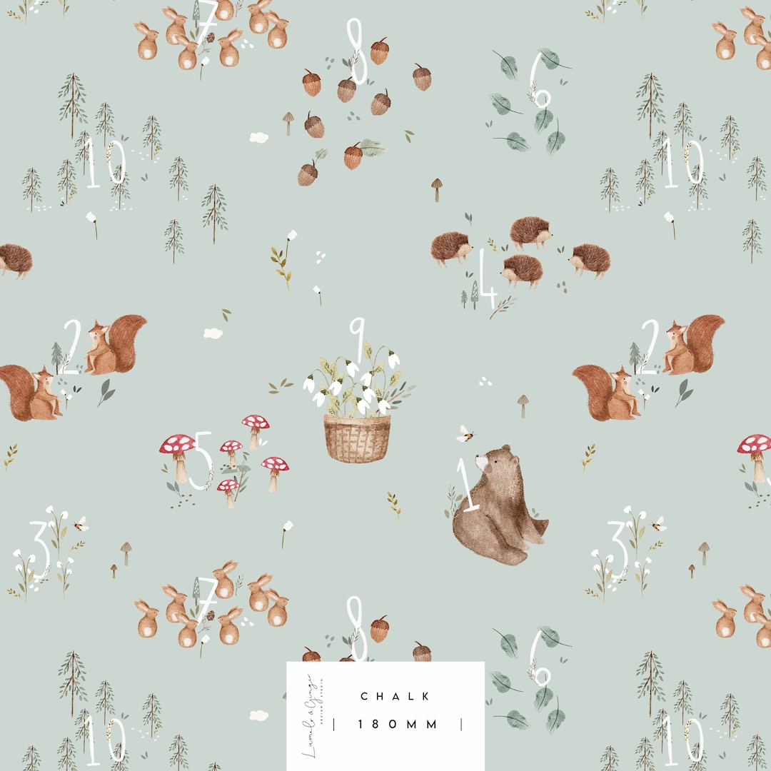 Woodland Ten, Count Along, Hedgehog, Bear, Toadstool, Seamless Fabric ...