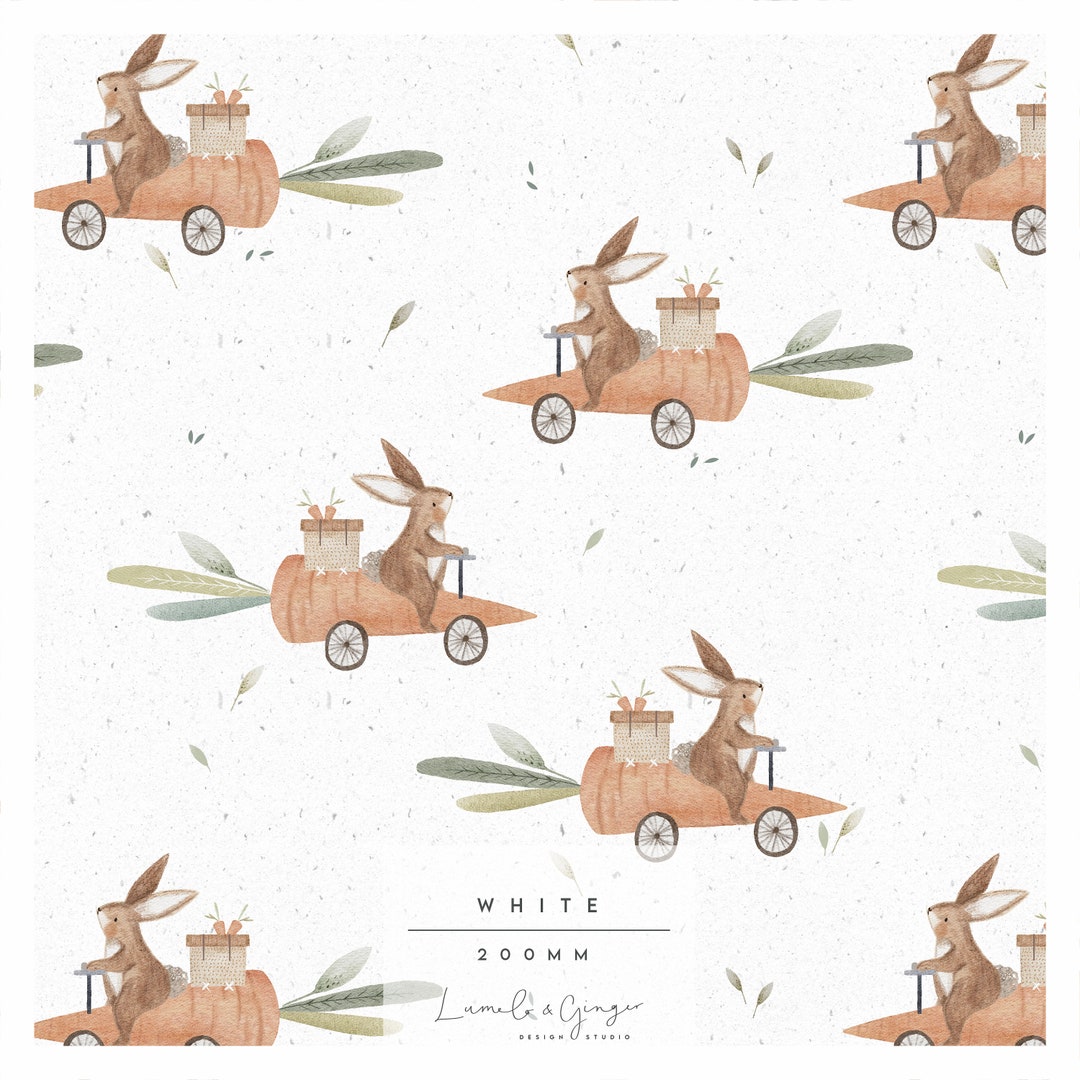 Carr, Carrot Car, Rabbits, Bunny, Racing, Track, Spring, Easter, Cute ...