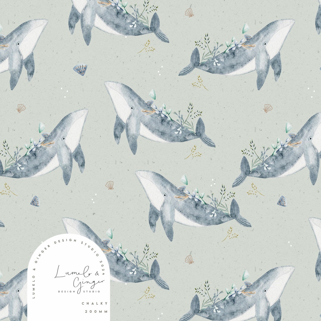 Exclusive Design, Barni Whale, Under the Sea, Children's Clothes ...