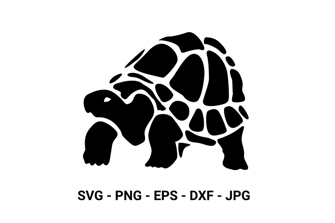 Turtle SVG, Reptiles SVG, Sea Turtle, Ocean, Digital Download, Instant ...