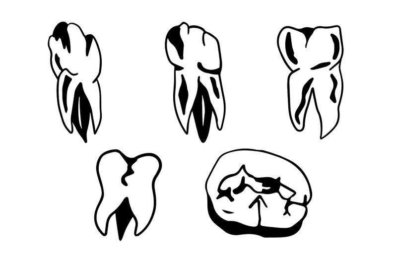 Teeth SVG Bundle, Dental Teeth Outline Clipart, Cutting Files for ...
