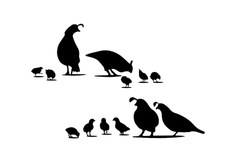 Quail SVG Bundle | Family Bird | Farm | Wildlife | Cut Files for Cricut ...