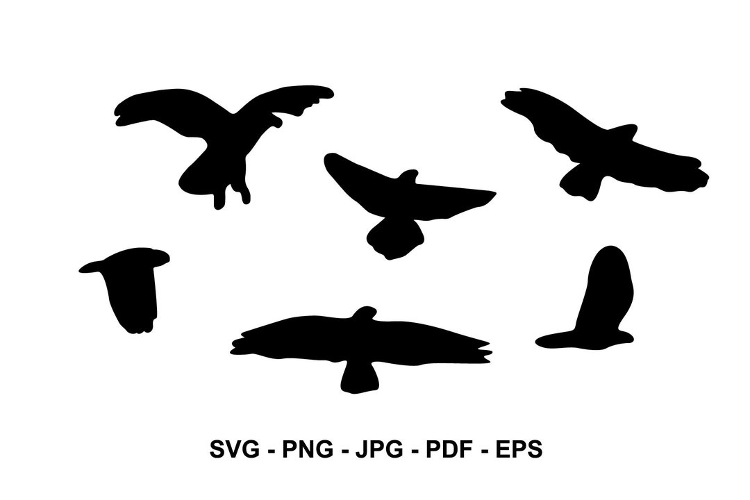 Adler SVG, fliegender Adler SVG, Vogel SVG, Clipart, Schnittdatei ...