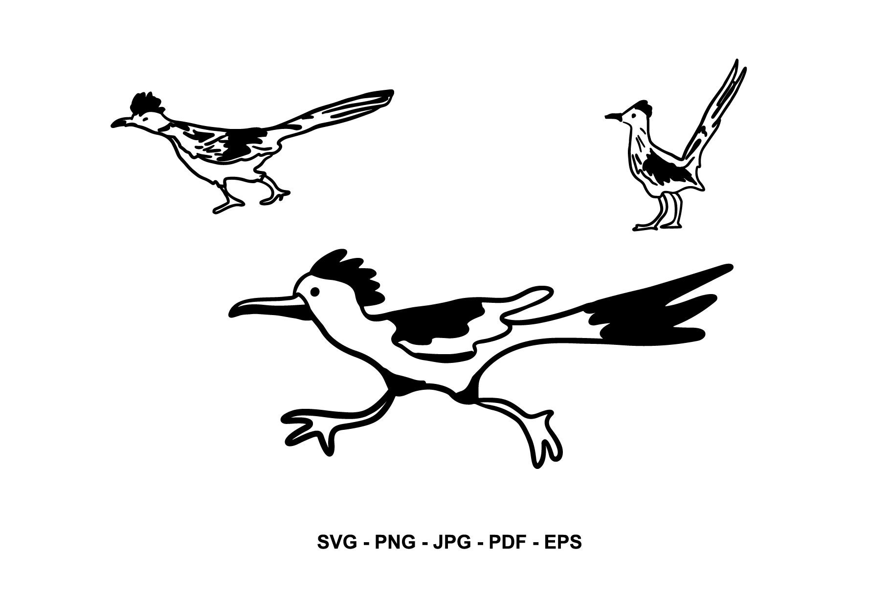 Roadrunner Svg, Chaparral Bird Svg, Roadrunner Sublimation Design ...