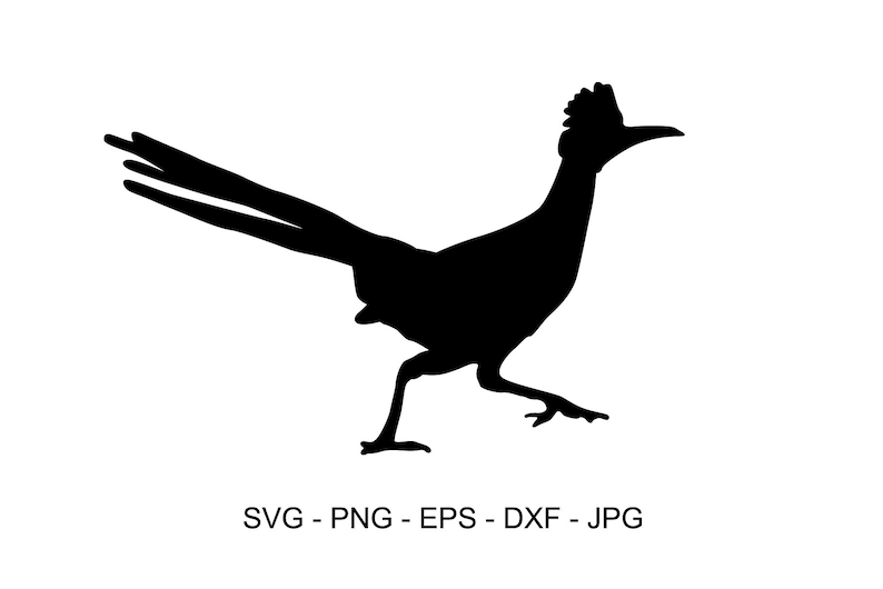 Roadrunner Print, Bird SVG, Western Clipart, Cutting Files for Cricut ...