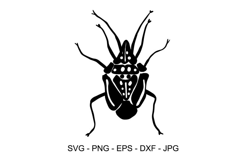 Bug SVG, Insects SVG, Beetle SVG, Clipart, Digital Download, Instant ...