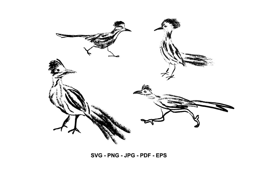 Roadrunner Svg, Chaparral Birds Svg, Roadrunner Sublimation Design ...